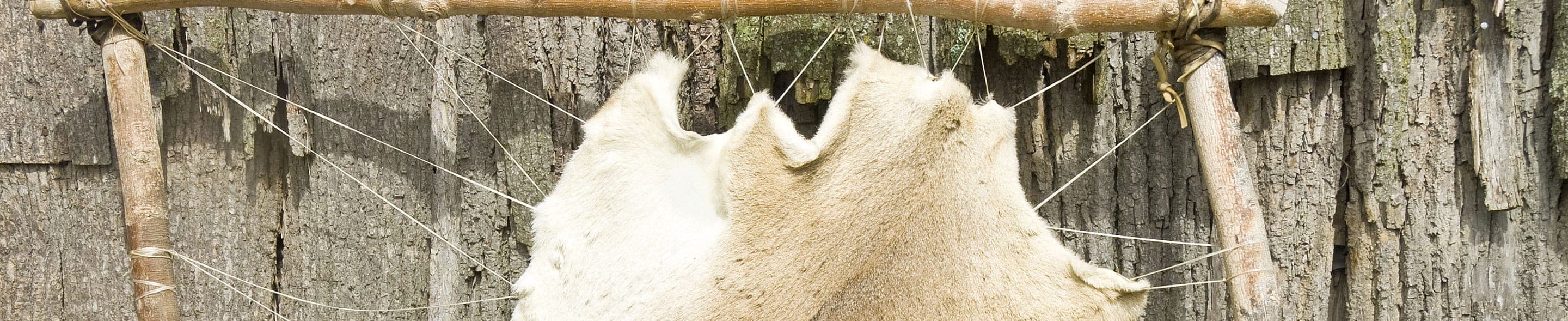 Primitive Hide Tanning Workshop - Adventure Out